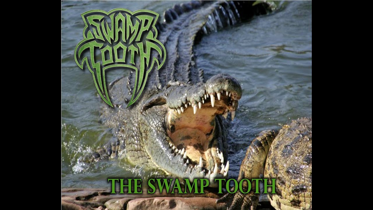 SWAMP TOOTH - The Swamp Tooth (Official Video) - YouTube