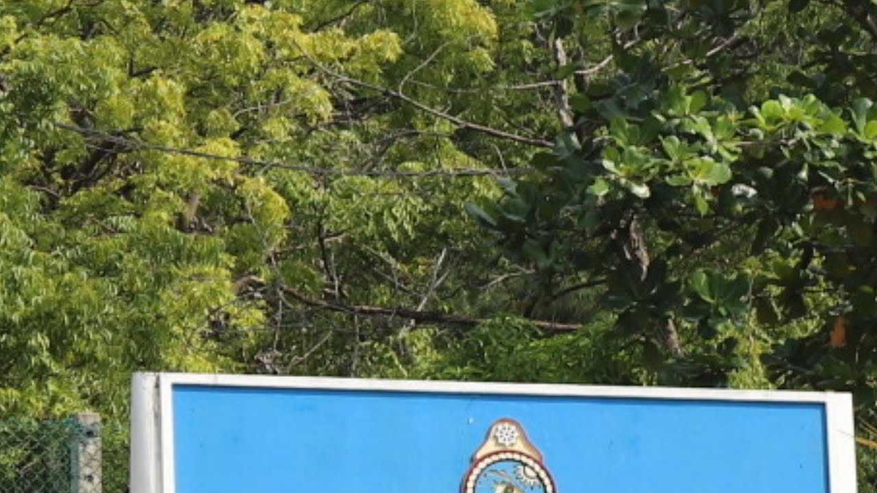 Simbu | Str | vendhu thanindhathu kaadu | silambarasan tr | MATHAPPU ...