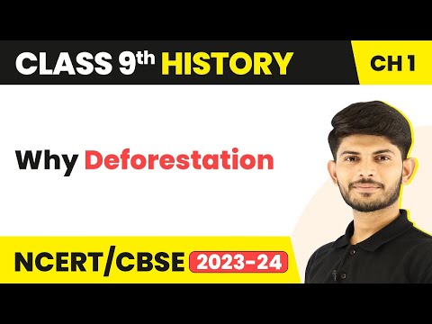 What Are The Causes Of Deforestation During Colonial Period