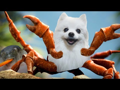 Crab Rave - Meme Cover 1