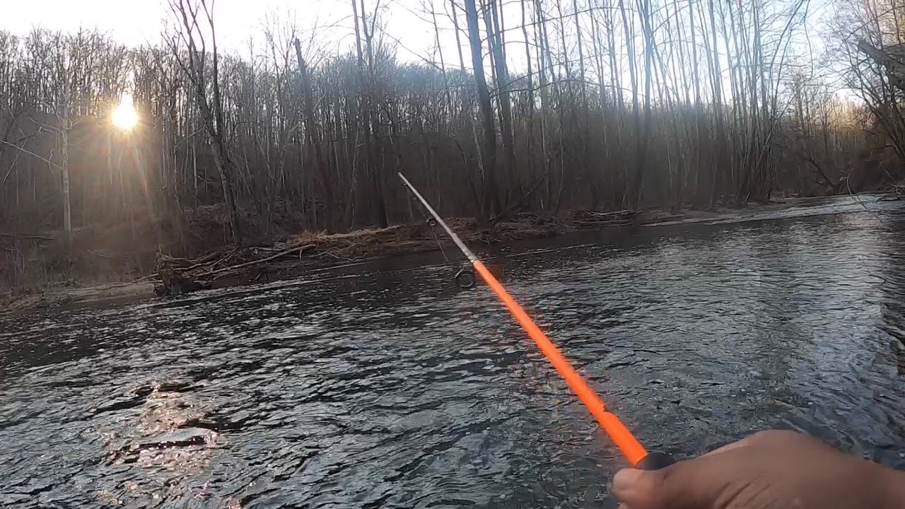 Patapsco River Fishing for Trout (Rainbow & Brown) - YouTube