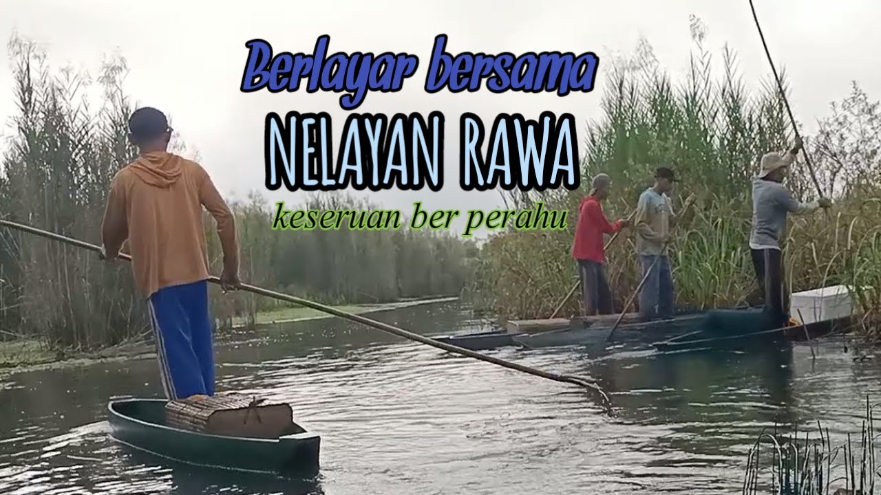 Keseruan naik perahu sampan || ikut berlayar bersama nelayan rawa - YouTube
