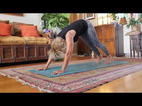 Tibetan Exercises - the 5 rites for a better life - easy workout - YouTube