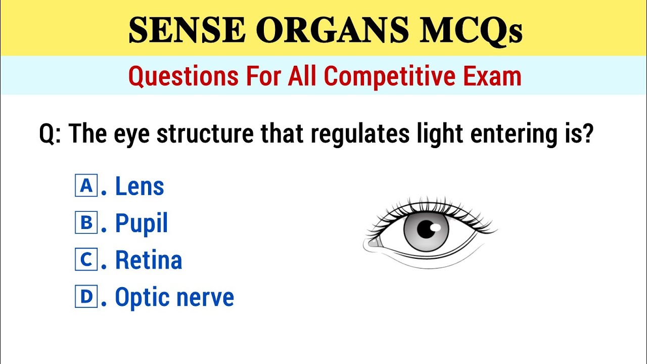 Human Sense Organs Mcqs | Sense Organ mcq | Sense Organ Questions - YouTube