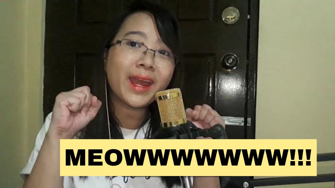 Learn to Meow - Xiao Pan Pan & Xiao Feng Feng (Cover) | Mandarin ...