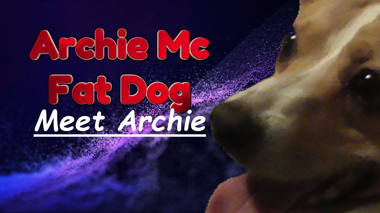 Archie Mc Fat Dog 1/4 Meet Archie - YouTube