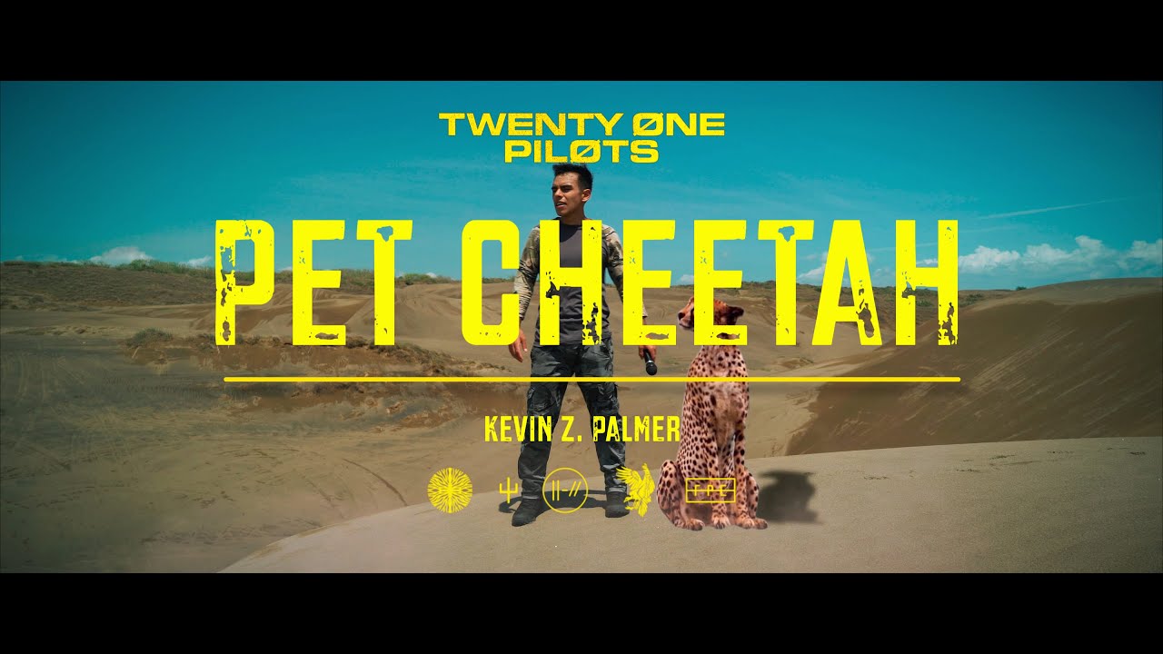 Pet Cheetah