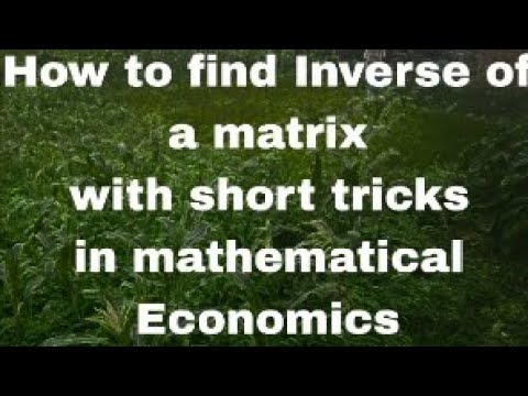 Net/jrf ||How to find Inverse of a matrix||Mathematical Economics by ...