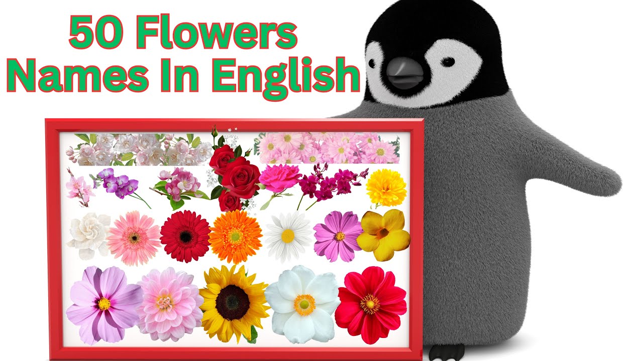 50 Flowers Name In English With Pictures l Flowers Vocabulary l ...