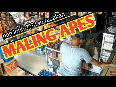 maling apes // kumpulan maling kepergok cctv.