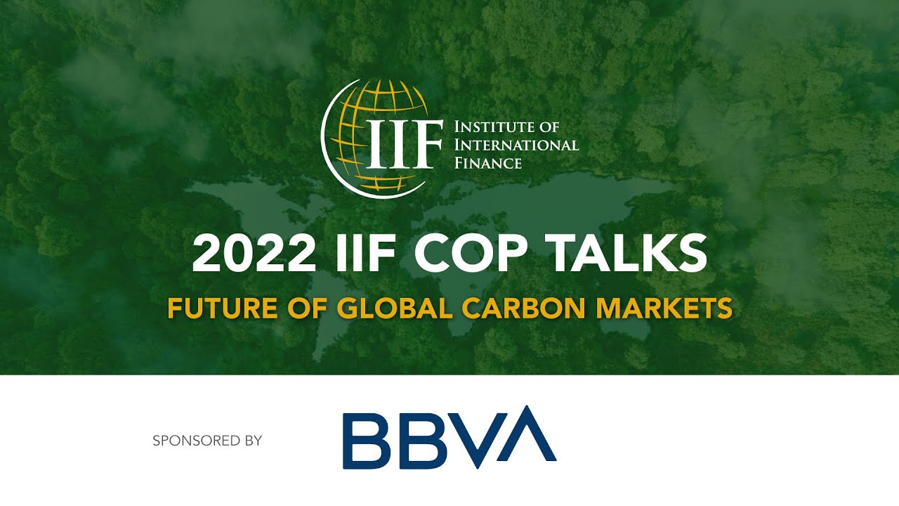 2022 IIF COP TALKS - Future of Global Carbon Markets - YouTube