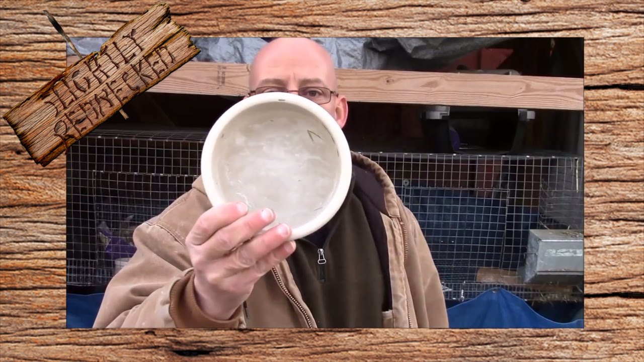 Raising Rabbits in Winter - 1 week old babies and subfreezing temp: The ...