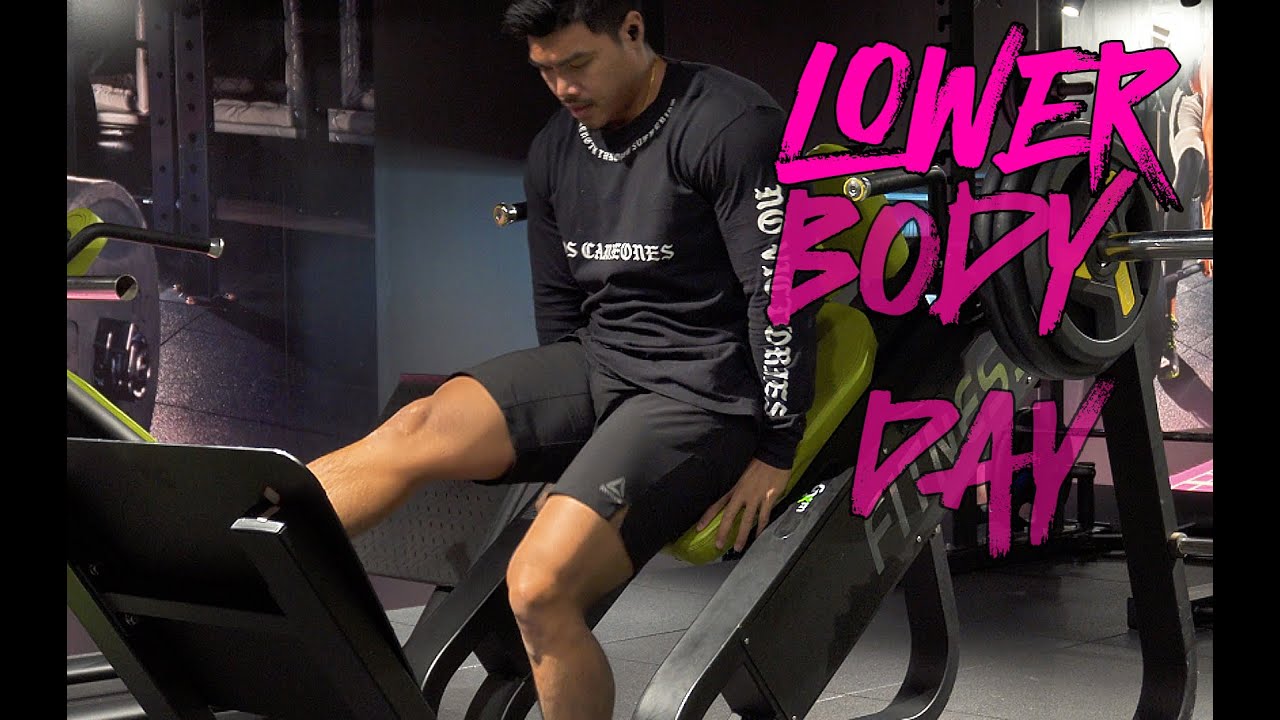 Week #8 | Full LEG DAY - YouTube