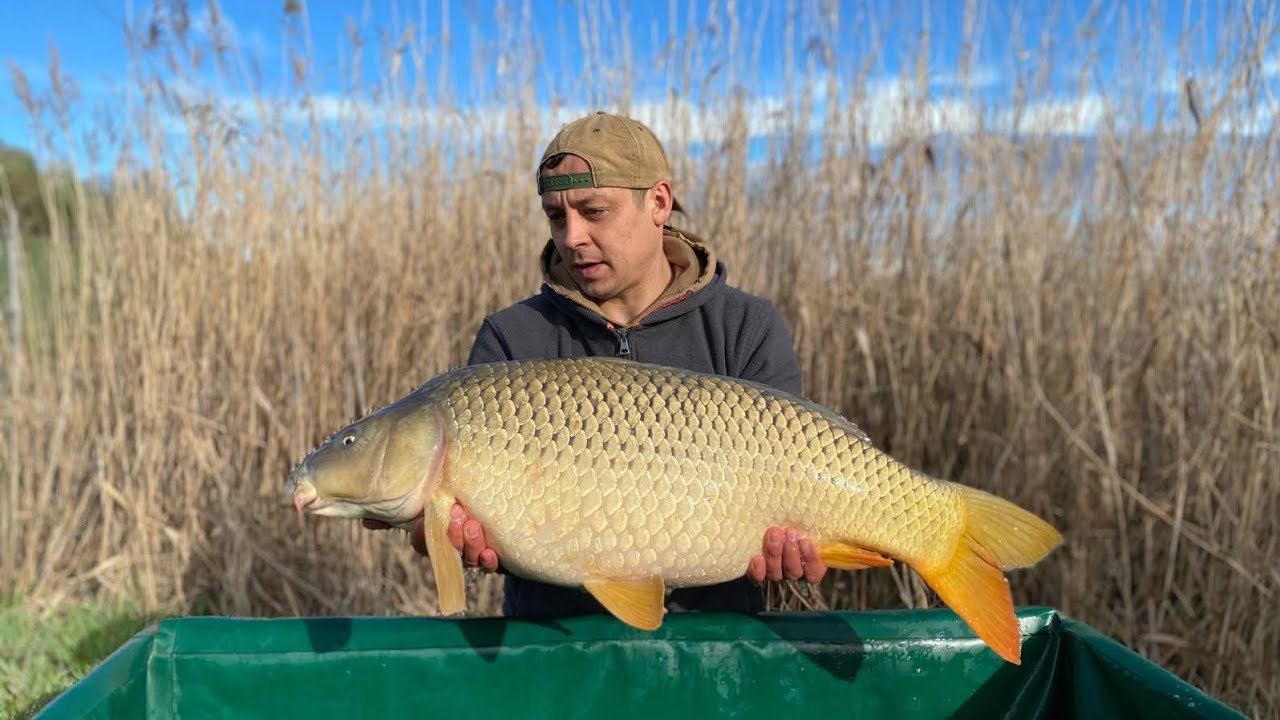 Balta de la Sanpaul pescuit primavara catch&release #carpfishing89 ...