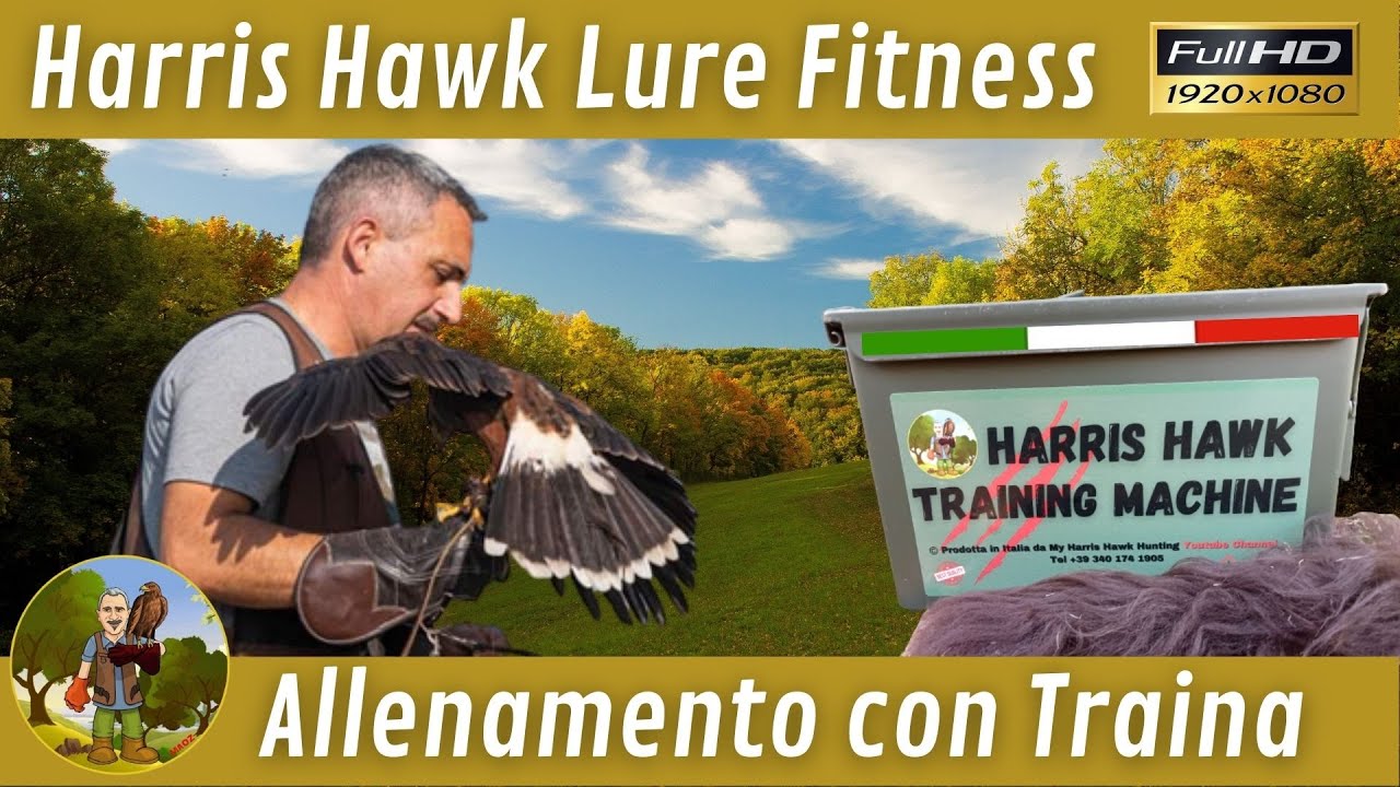 hawk training, lure machine haw fitness, allenamento con la traina ...