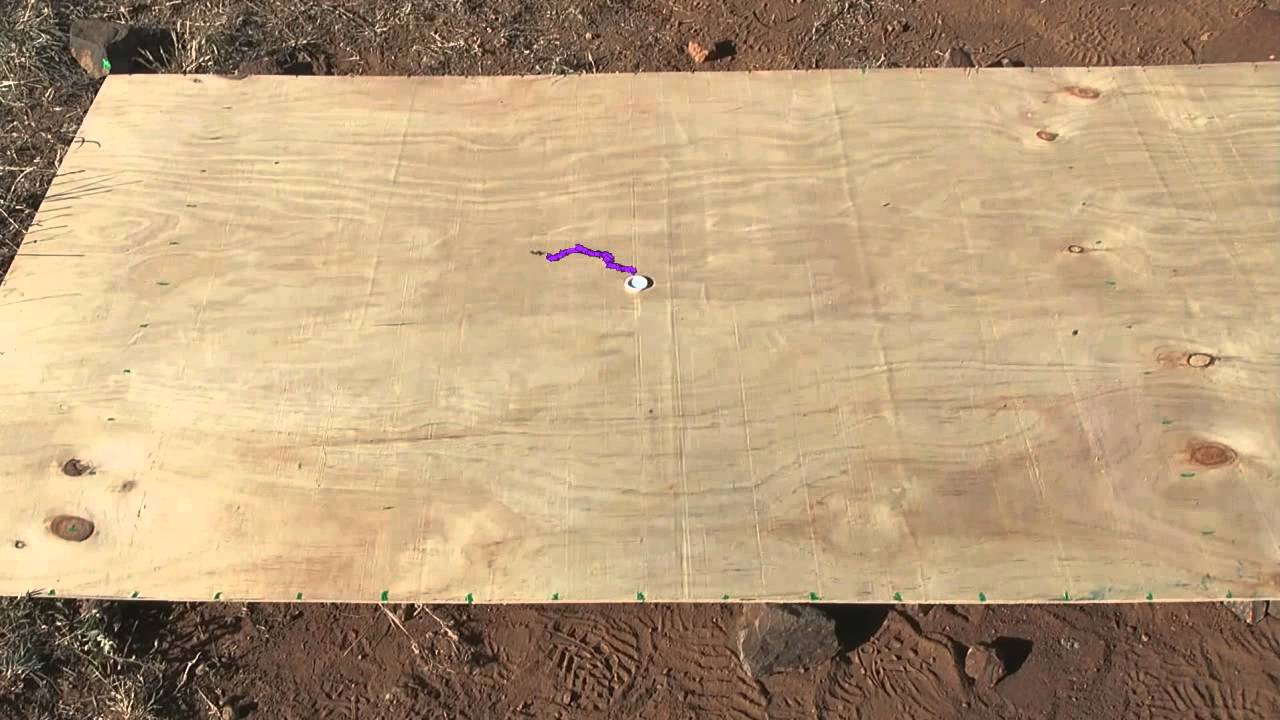 Ant Tracking Software Demo - YouTube