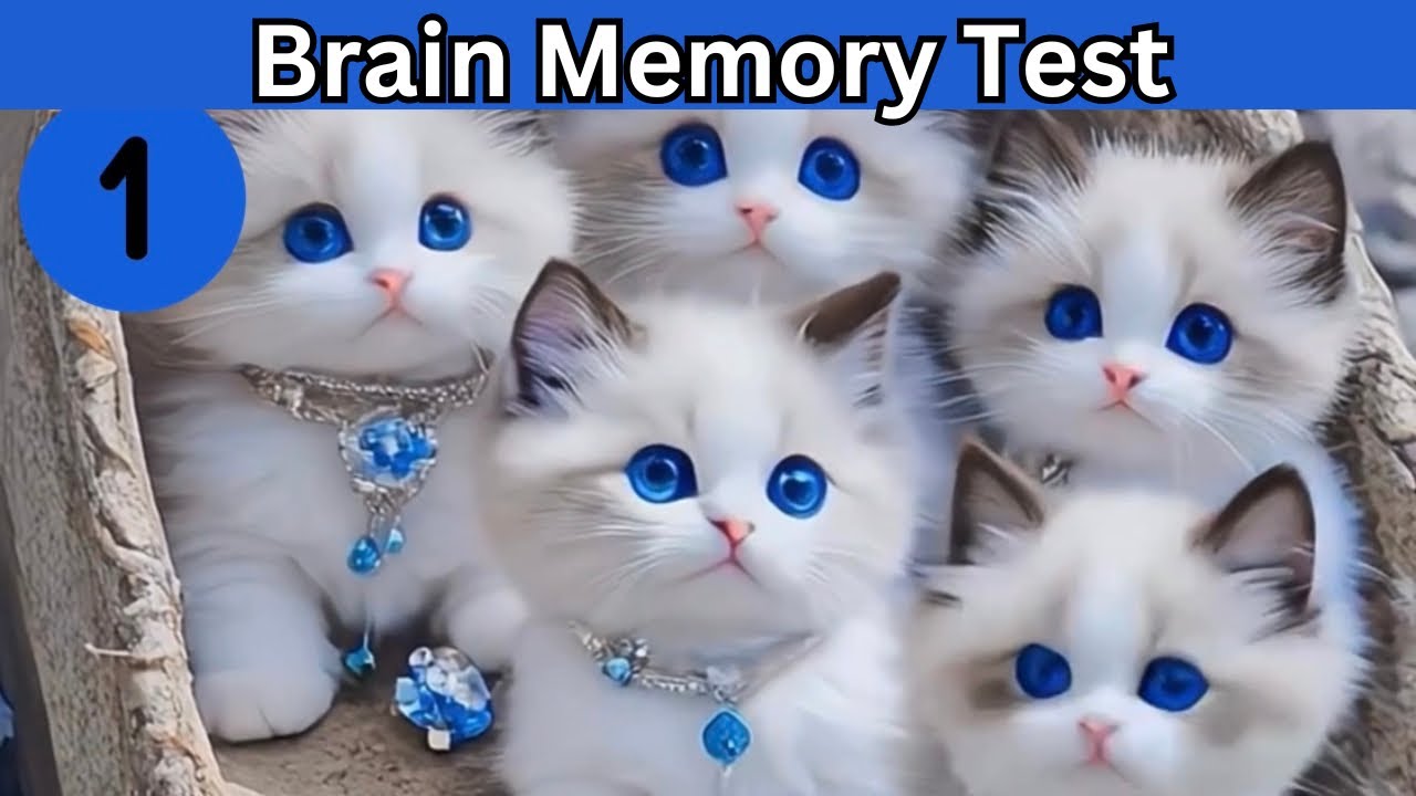 Brain Memory Test | IQ test - YouTube