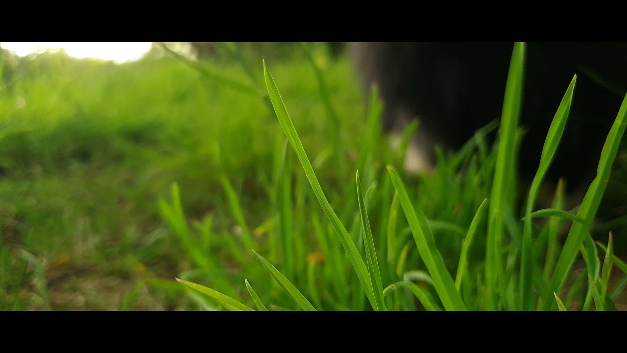 *smells lens flare* - YouTube