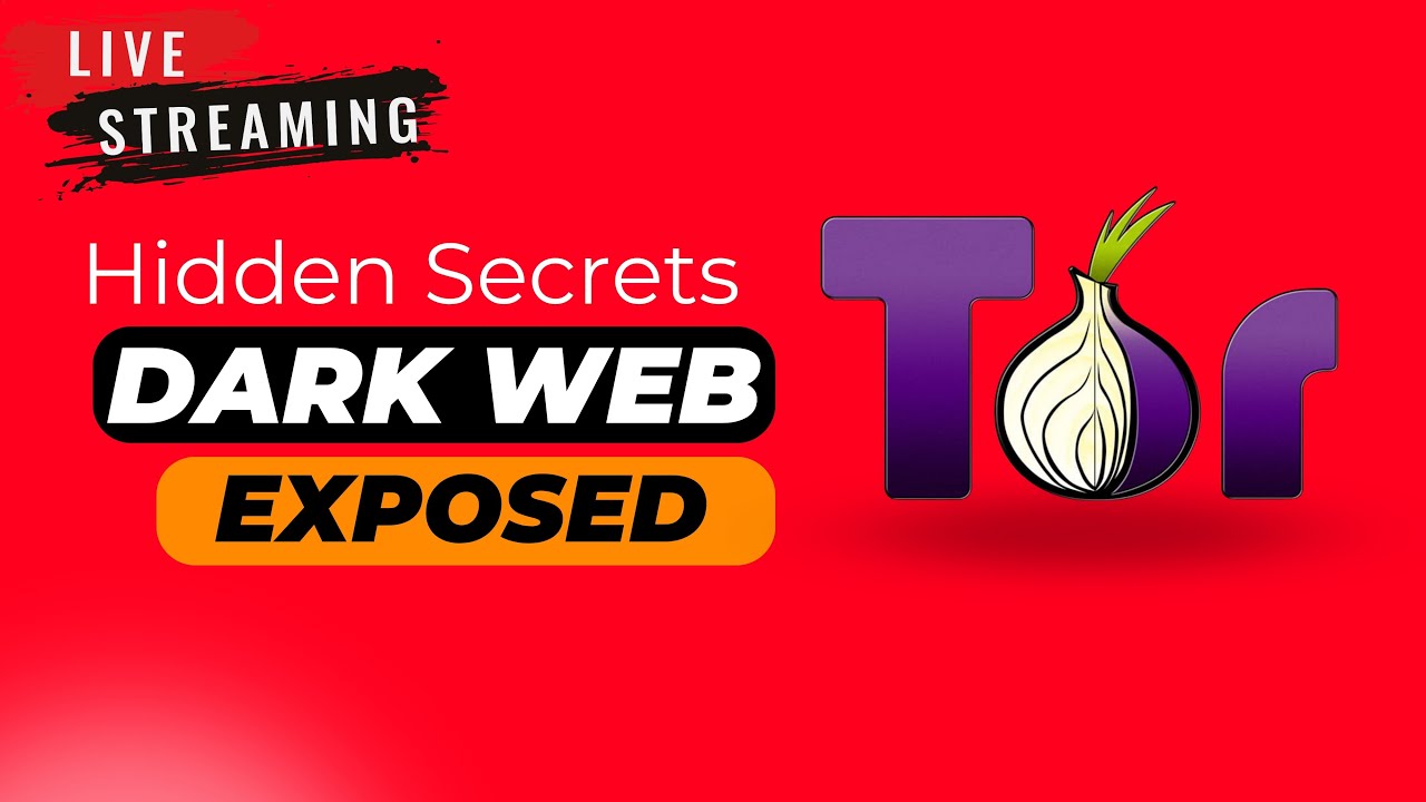 The Dark Web Exposed – DAY 2 | Hidden Secrets, Real Stories & Safe ...