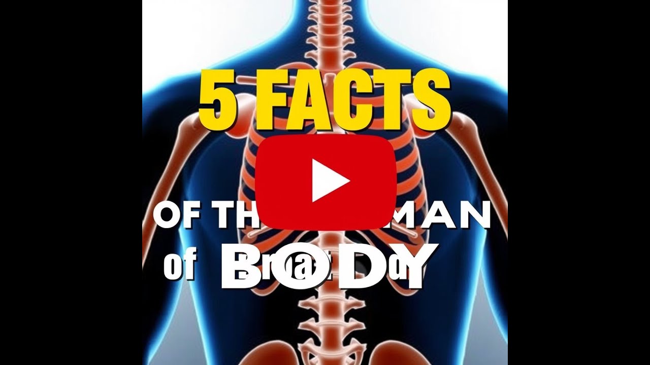 5 Mind Blowing Facts About the Human Body - YouTube