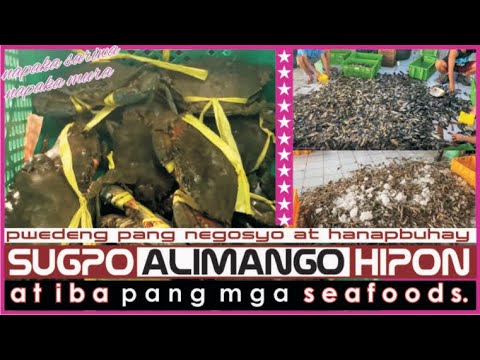 SEAFOODS MARKET TOUR.│TARA NA! MAGNEGOSYO NA KAYO DITO │FRESH AT MURANG ...