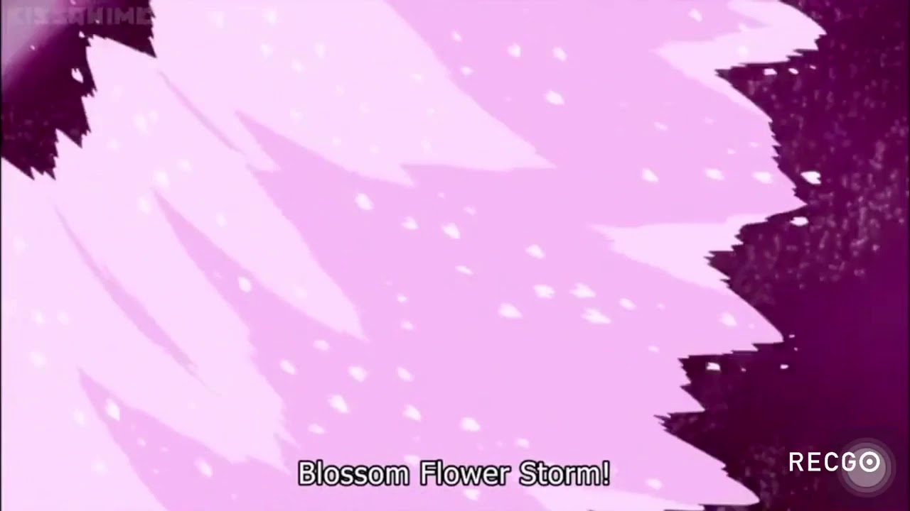 Blossom Flower Storm~HD - YouTube