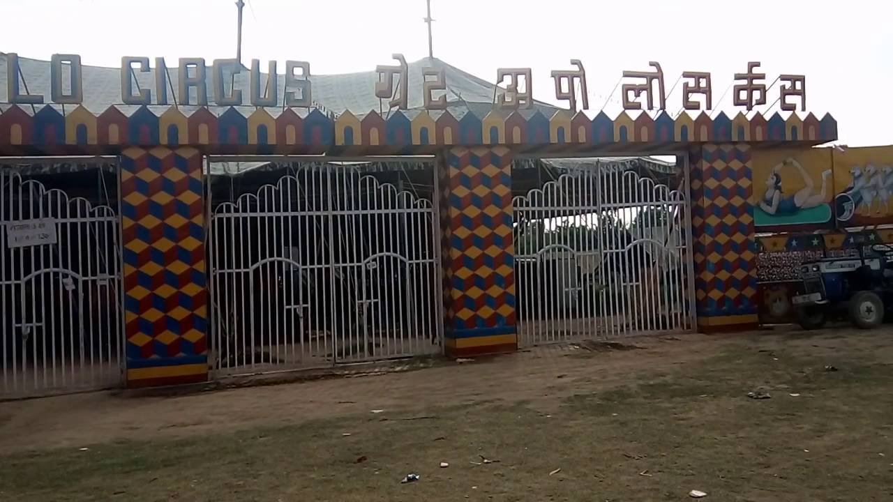 Great Apollo circus - YouTube