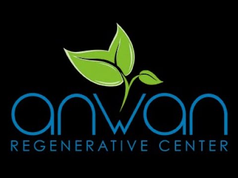 ANWAN 12 Weeks to Wellness - Week 2 Q&A - YouTube