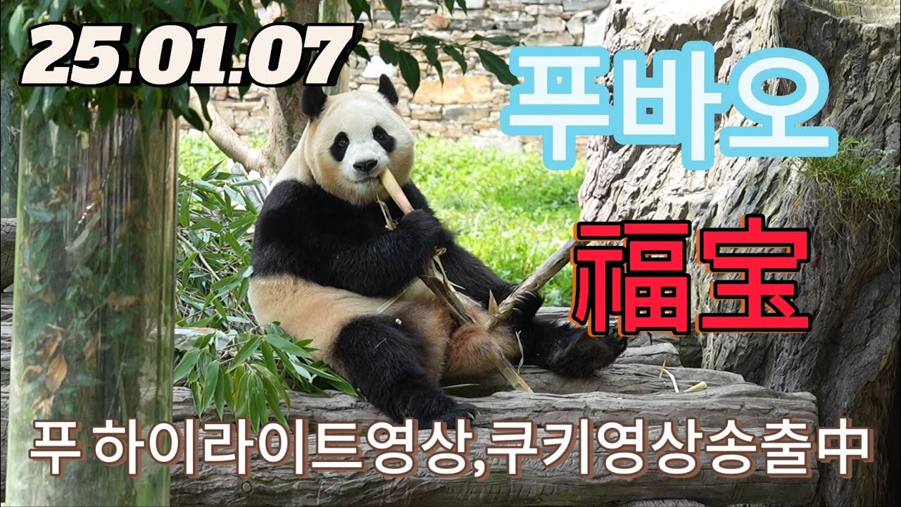 ๐ํธ๋ฐ์ค ็ฆๅฎ๐1์7์ผ ์ ์ํ์์์ด ๊ณต๊ฐ๋์๋ค์ ๋์ค๋๋ ๋ฐ๋
ธ๋ ํ๋ค์น๊ตฌ๋ค๋ณด๋ ์ฐ๋ฆฌ ํธ์ผ๊ฐ ๋์ฑ ๊ทธ๋ฆฝ๋ค์ ~ํธํ์ด๋ผ์ดํธ์ฟ ํค์์์ก์ถ์ค ํธ๋ฐ์ค Fubao Panda็ฆๅฎ