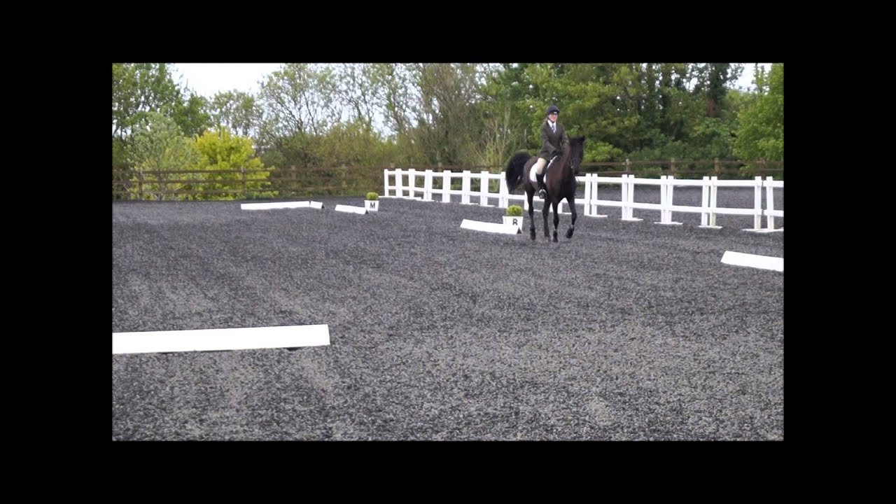 Maisie and Reagan KMC Prelim 7 Dressage Test - YouTube