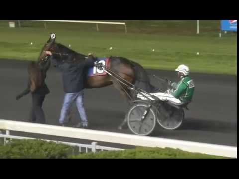 Plunge Blue Chip & Åke Svanstedt wins Goldsmith Maid - Elim in 1.55,1 ...