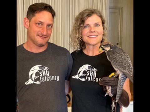 Alpine Historical Society - Sky Falconry - YouTube