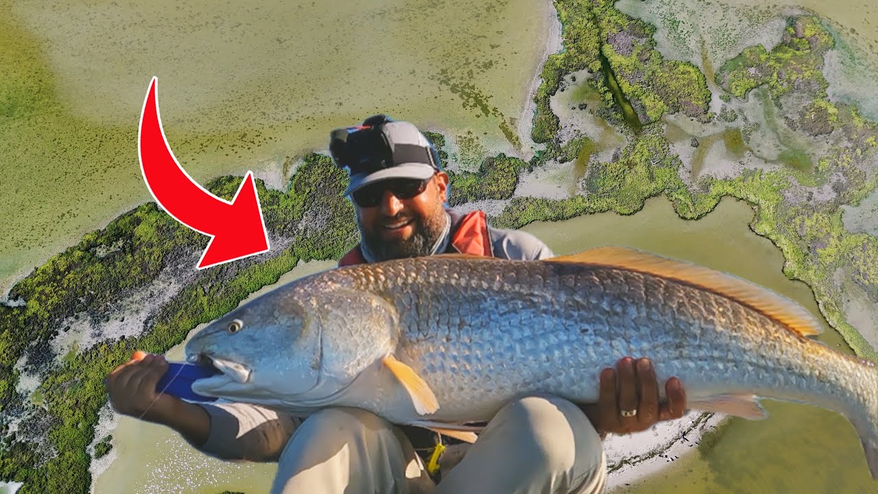 Insane Day Catching MONSTERS! (Laguna Madre fishing) - YouTube