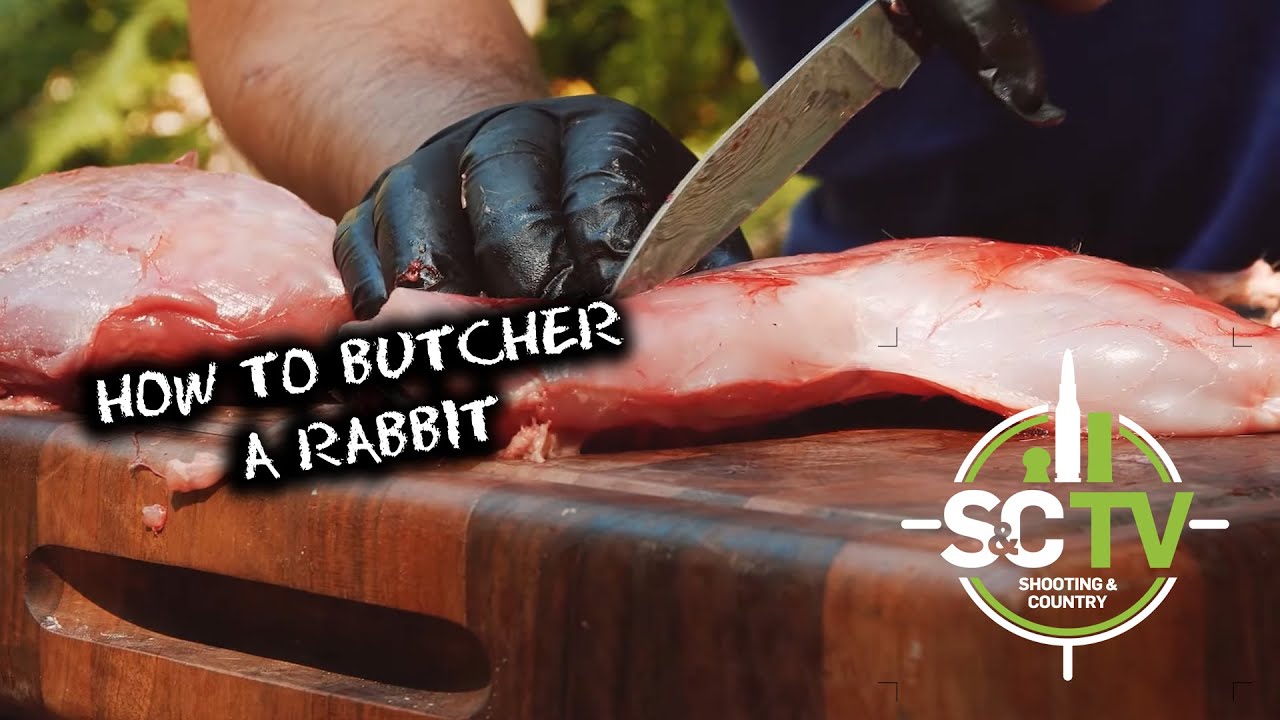 Shooting & Country TV | How to butcher a rabbit with Cai Ap Bryn - YouTube