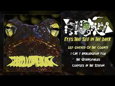 Phyllomedusa - Eyes That See In The Dark CS FULL ALBUM (2018 - Sludge / Doom Metal / Goregrind)