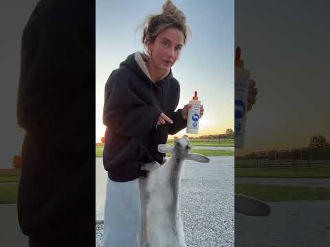 Fast af boi - YouTube