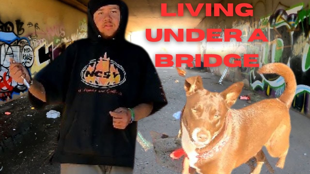 24 living under a bridge with pet dog - YouTube