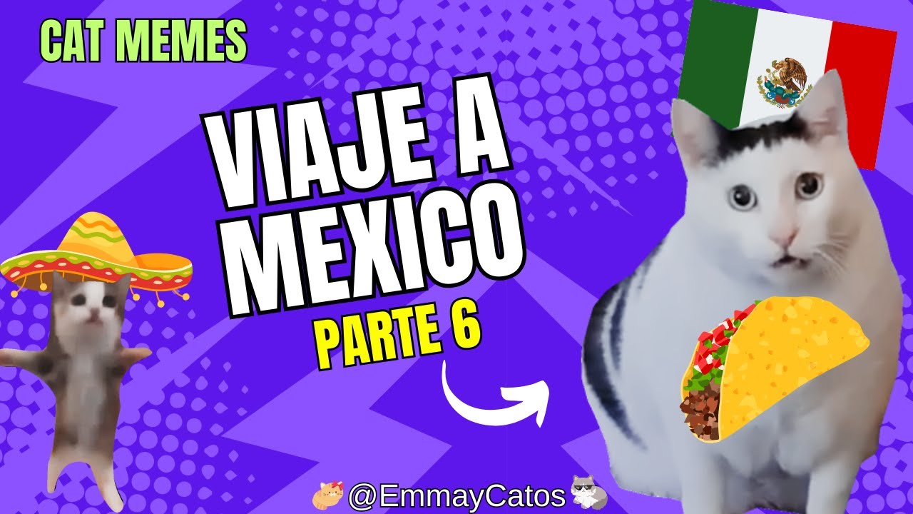 VIAJE A MEXICO parte 6 (meme de gatos) - YouTube