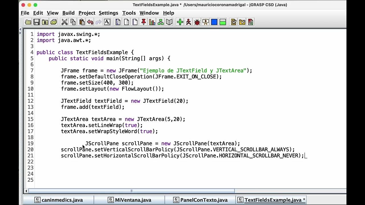 Ejercicio 3 Realizar Jtextfield Y Jtextarea Youtube