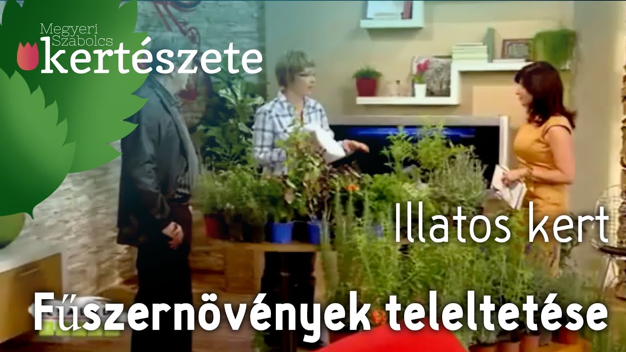 Illatos Kert téli álma - Megyeri Szabolcs Kertészet webáruház ...