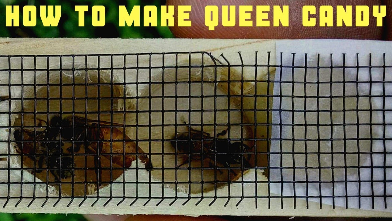 🔵Queen candy and how to make it! - YouTube