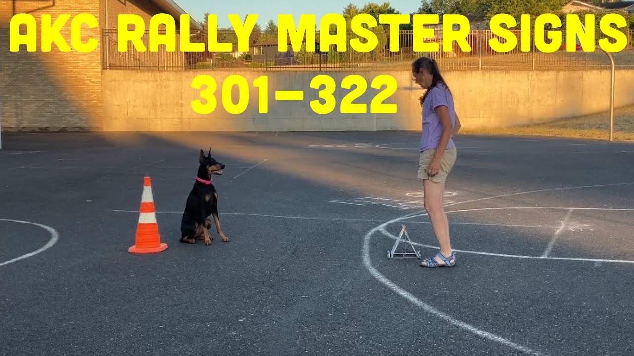 All AKC Rally Master Signs Explained and Demonstrated - YouTube
