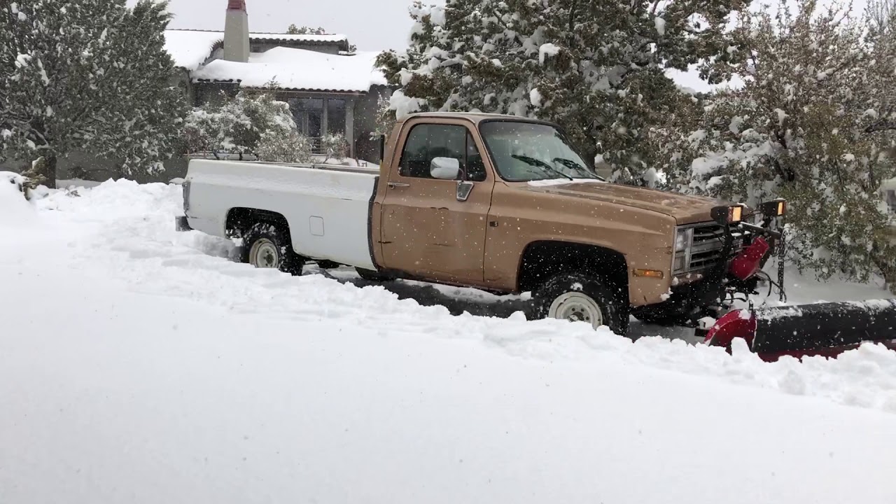Plow dog snow removal 2 - YouTube