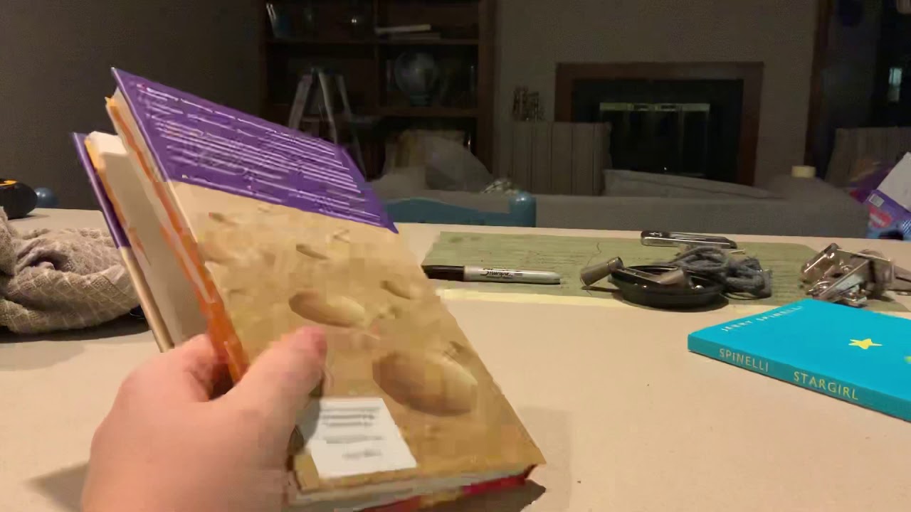 Holes - chapters 8-9 - YouTube