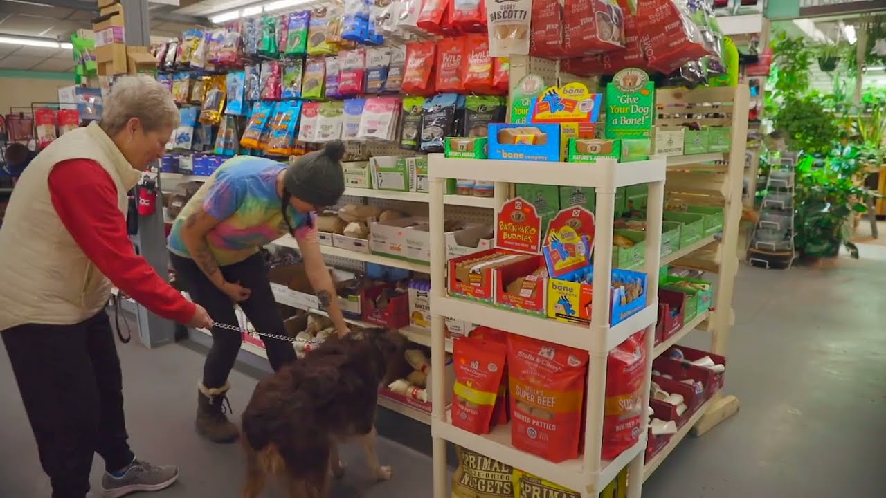 AB Hatchery Pets - YouTube