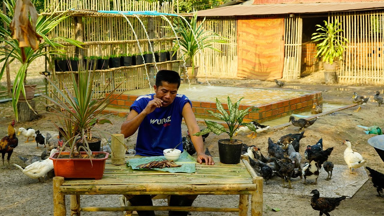 Food For My Animals Cooking | Making Porridge For My Duck And Chicken ...