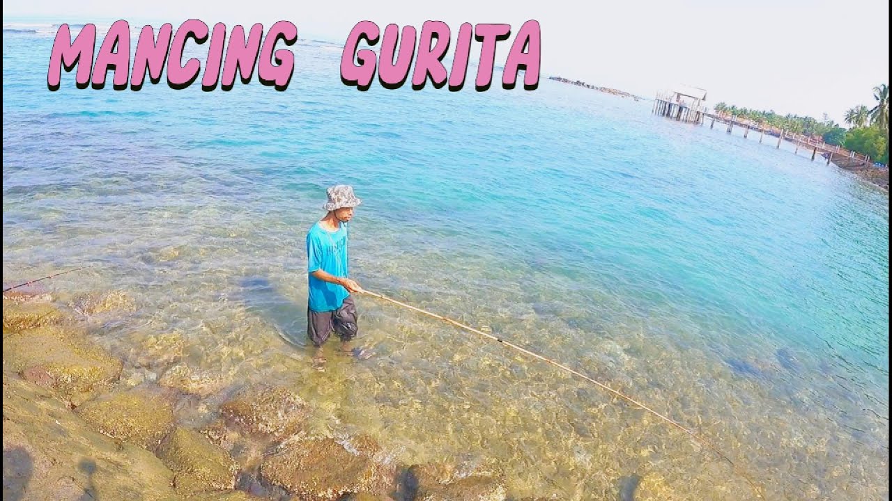 MAIN KEPANTAI LIHAT YANG MANCING GURITA || tutorial mancing gurita - YouTube