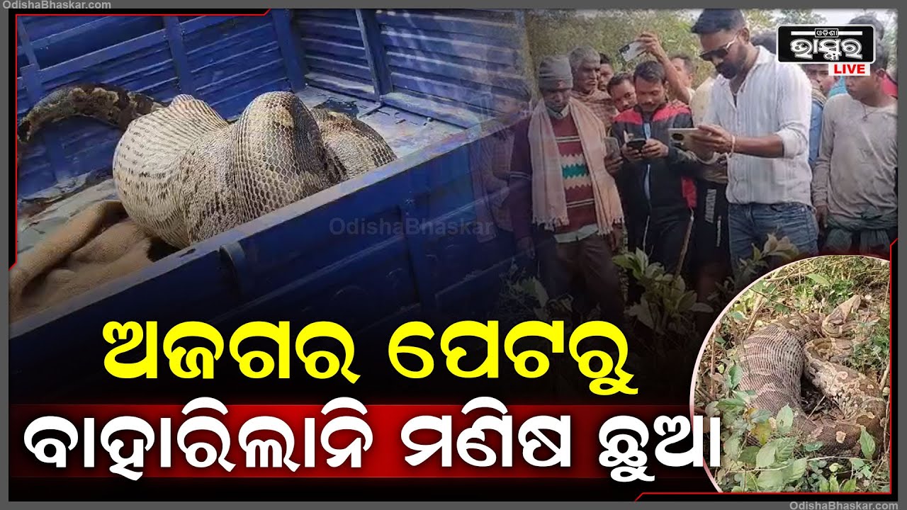 ସମସ୍ତେ କହୁଥିଲେ ଅଜଗର ଗିଳିଛି ମଣିଷ ଛୁଆ କିନ୍ତୁ ଏବେ ଜଣାପଡିଲା ପେଟରେ ଥିଲା ଏହି ...