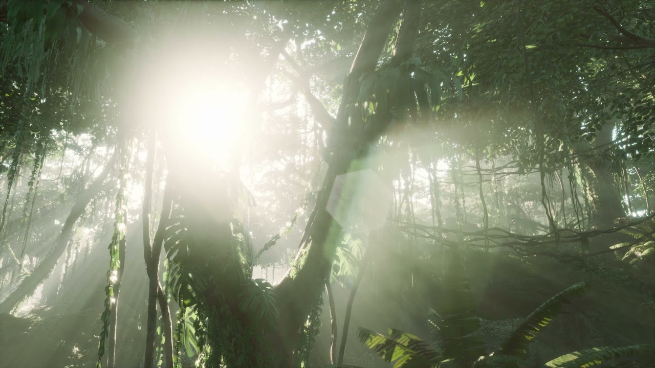 Mackenzie Finklea The Artifact Hunter - YouTube