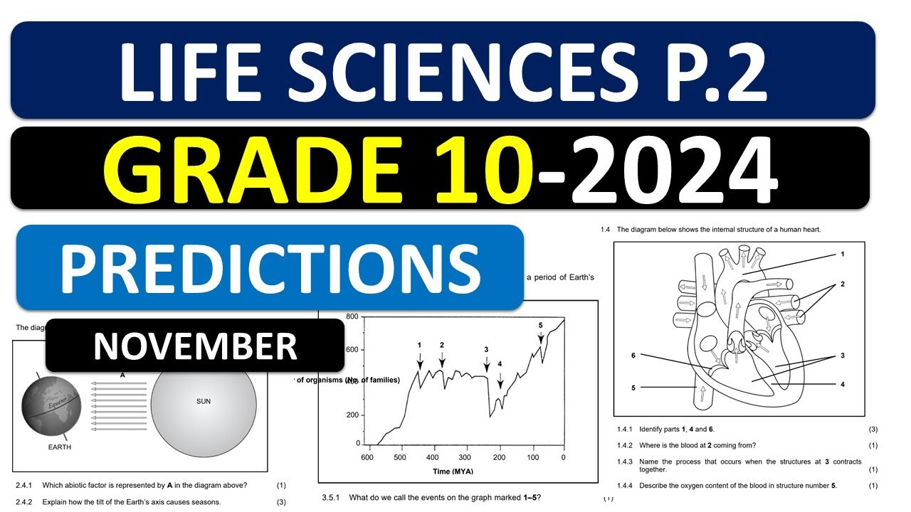 LIFE SCIENCES GRADE 10 P.2 PREDICTIONS 2024, PREDICTION LIFE SCIENCES ...